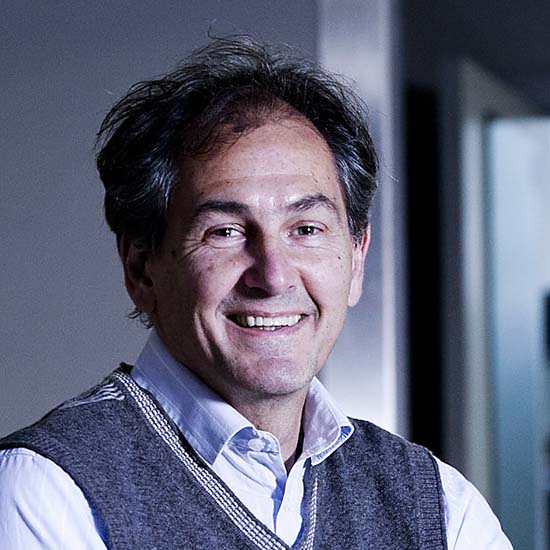 Mark Pagel | Royal Society